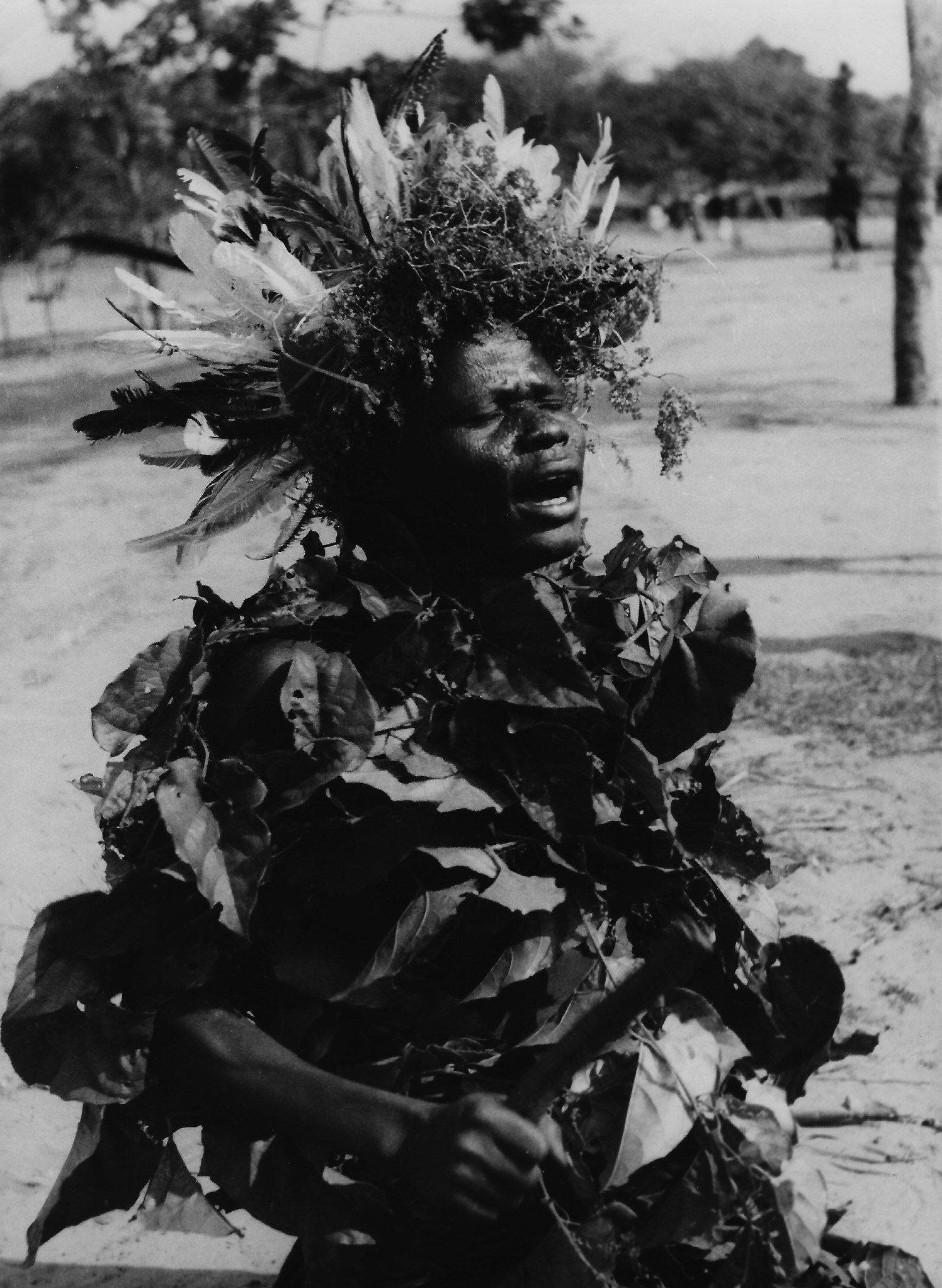 Ma mère et le roi Macoco – Le Monde de Pascal Fleury